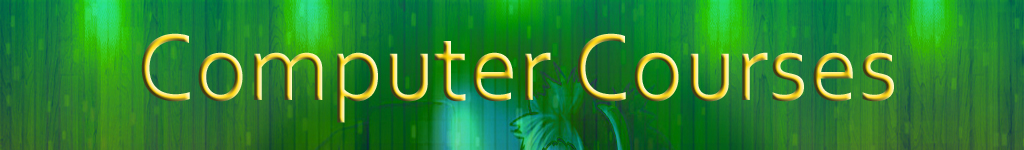 R.S. Computer Education Institute